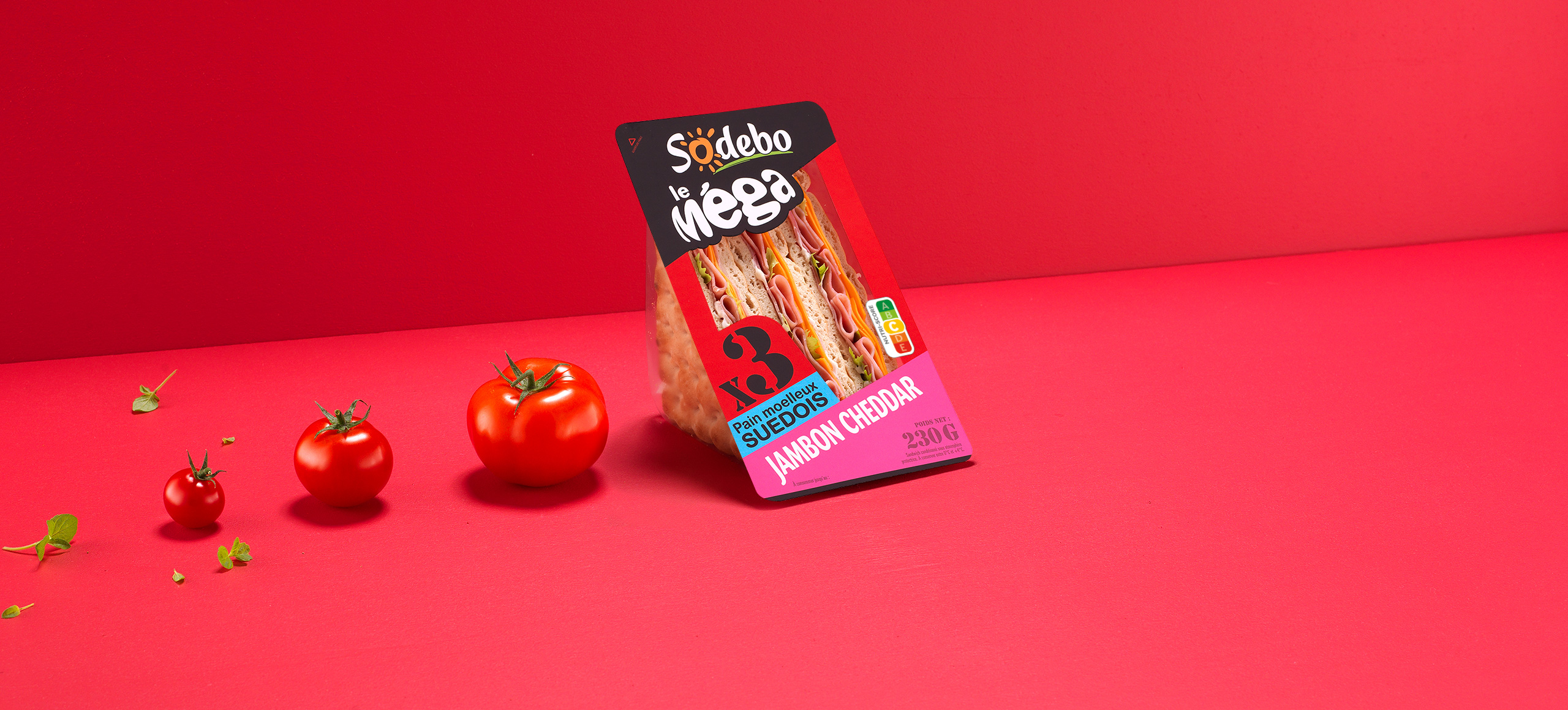 Sandwich Méga Club : 9 recettes de sandwiches au rayon frais | Sodebo